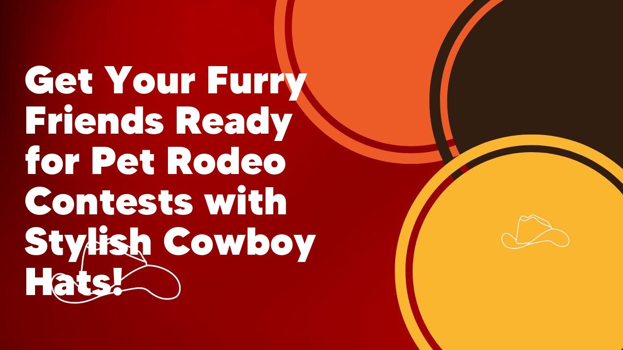 Get Your Furry Friends Ready for Pet Rodeo Contests with Stylish Cowbo