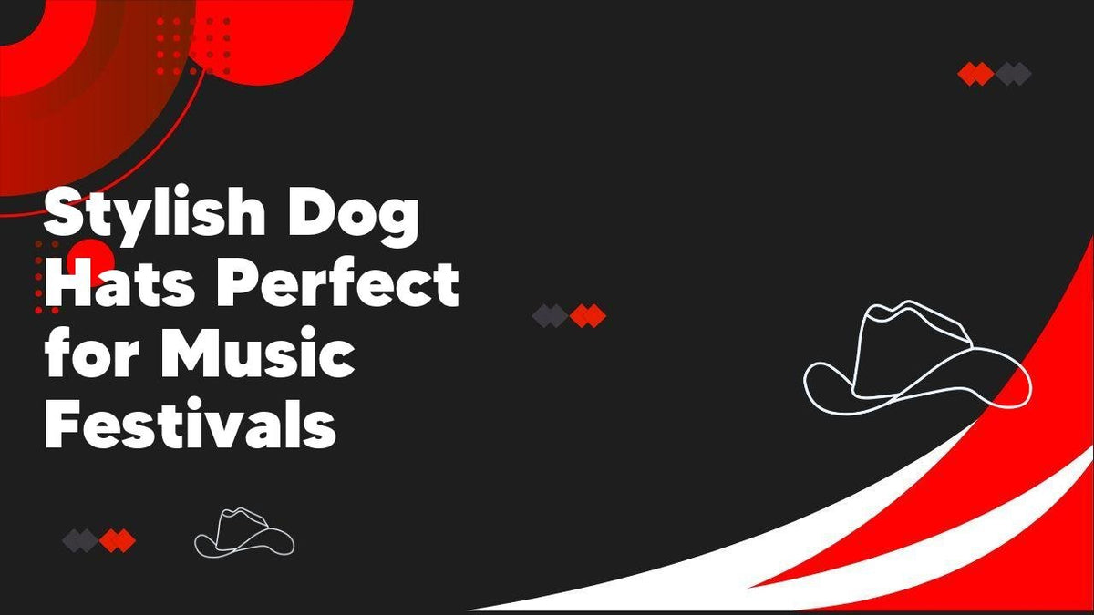 Stylish Dog Hats Perfect for Music Festivals